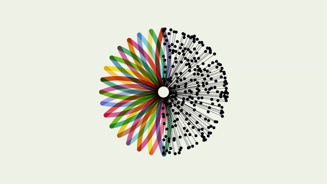 Ibm Data Visualization Guidelines