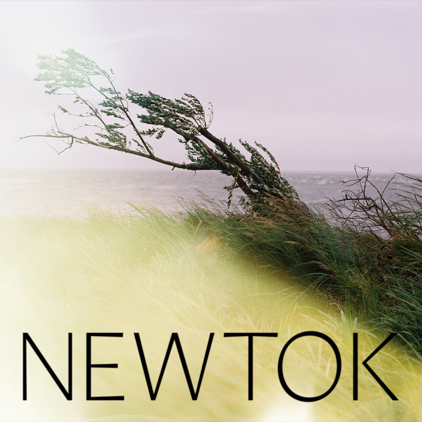 ‘Newtok’
